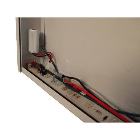 French emergency exit light (SORTIE) 120V with battery. | Sylprotec.com