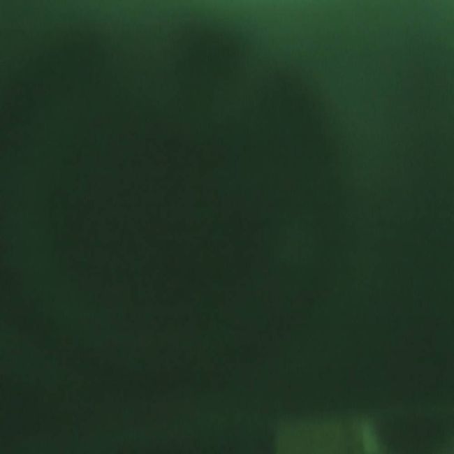 Green translucent vinyl welding screen | Sylprotec.com