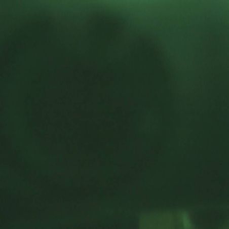 Green translucent vinyl welding screen | Sylprotec.com